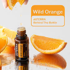 Wild Orange :: aromaterra